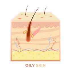 What is Sebum Production and How to Control It?